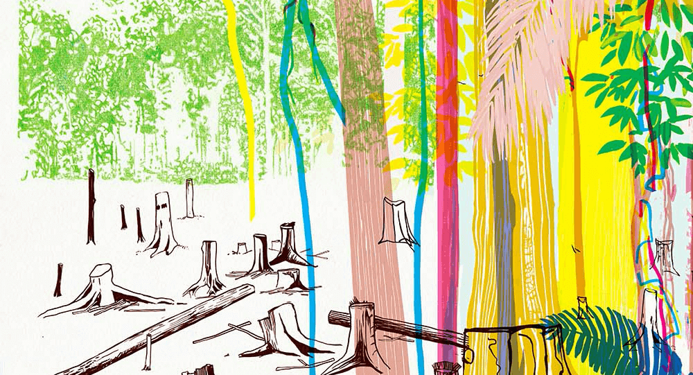 Exhibition "Drawing the law in the Anthropocene" in Strasbourg and ...